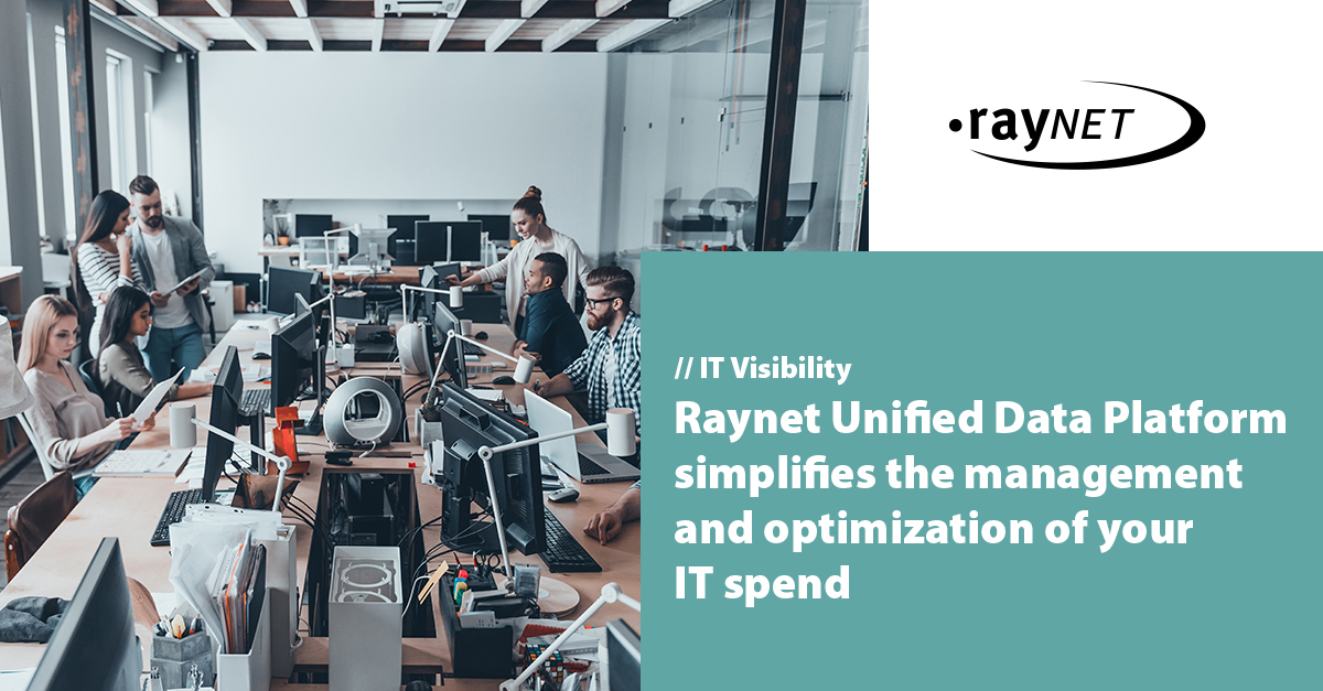 True IT Asset Visibility powered by Raynet One