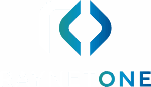 Discover to Manage: This is Raynet!