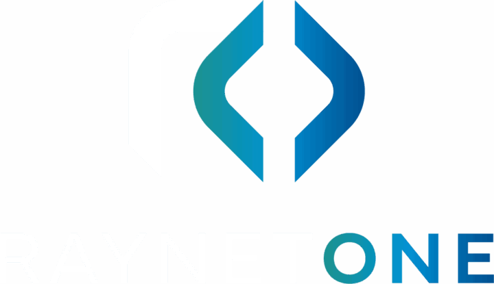 Discover to Manage: This is Raynet!