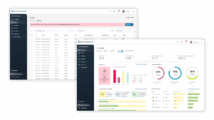 True IT Asset Visibility with Raynet One