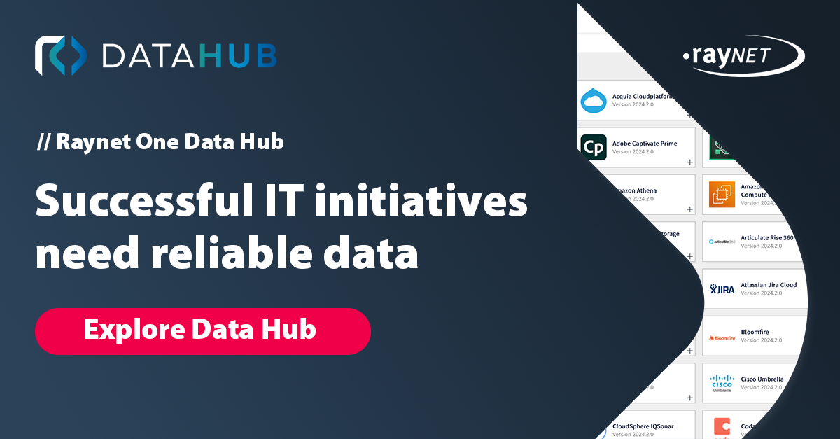 Raynet One Data Hub – Central Data Platform for IT